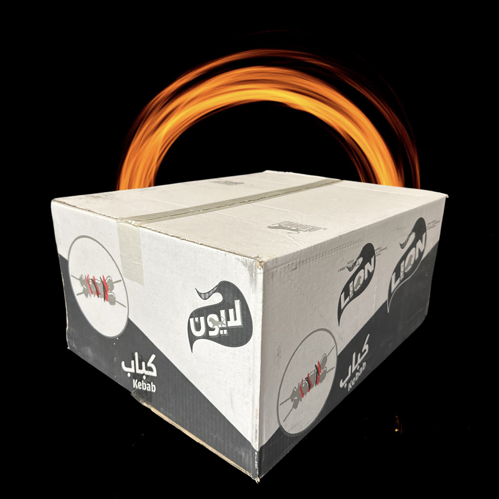 Lion Chips Kebab - Jumbo - Box of 15 – The Taste of Egypt